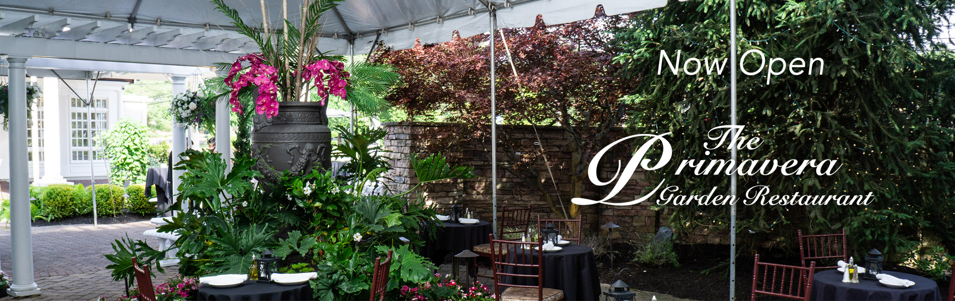 Home - The Primavera Regency